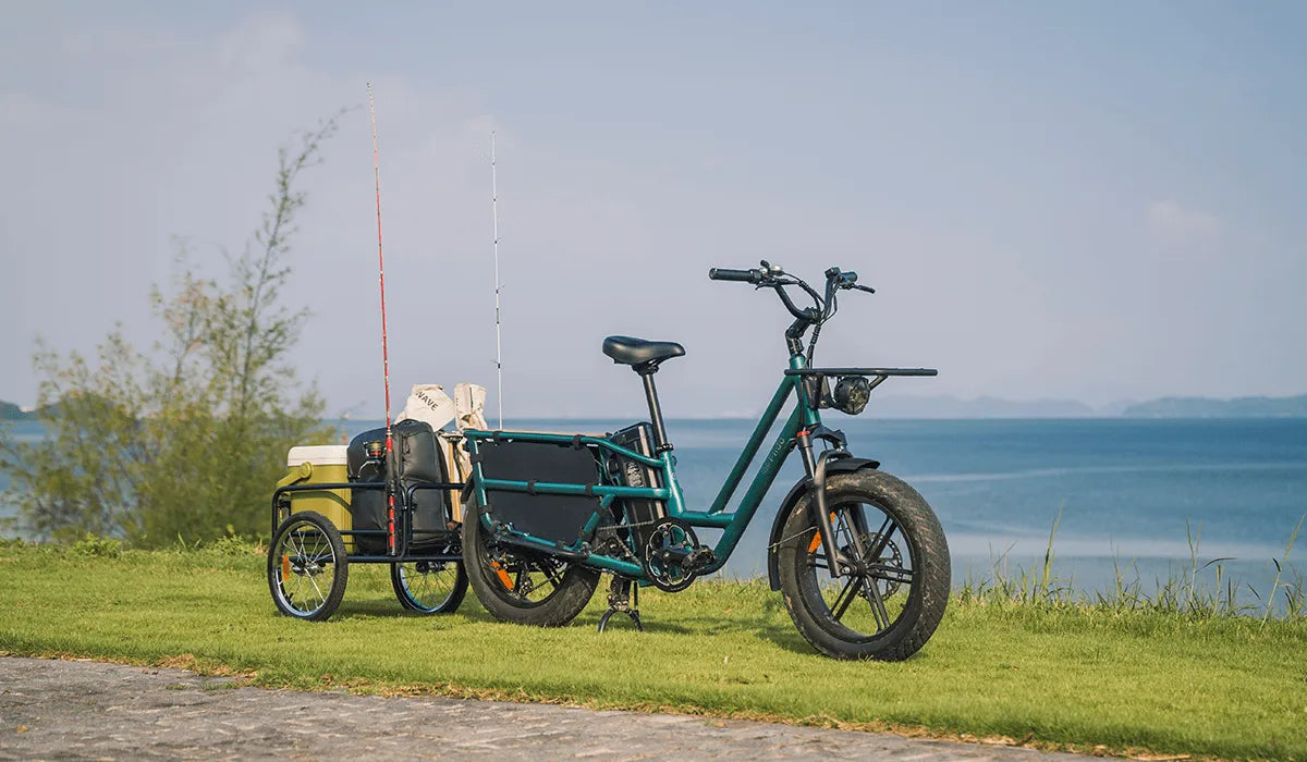 Fiido E-Bike Frame Guide: 5 Popular Frame Types