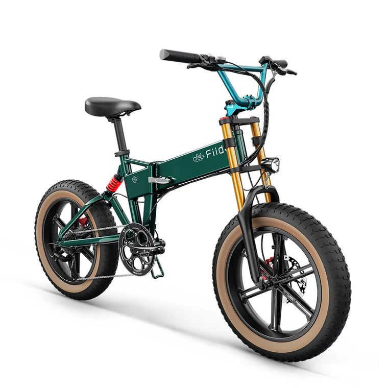 Fiido M1 Pro - Fat Tire Folding Electric Bikes