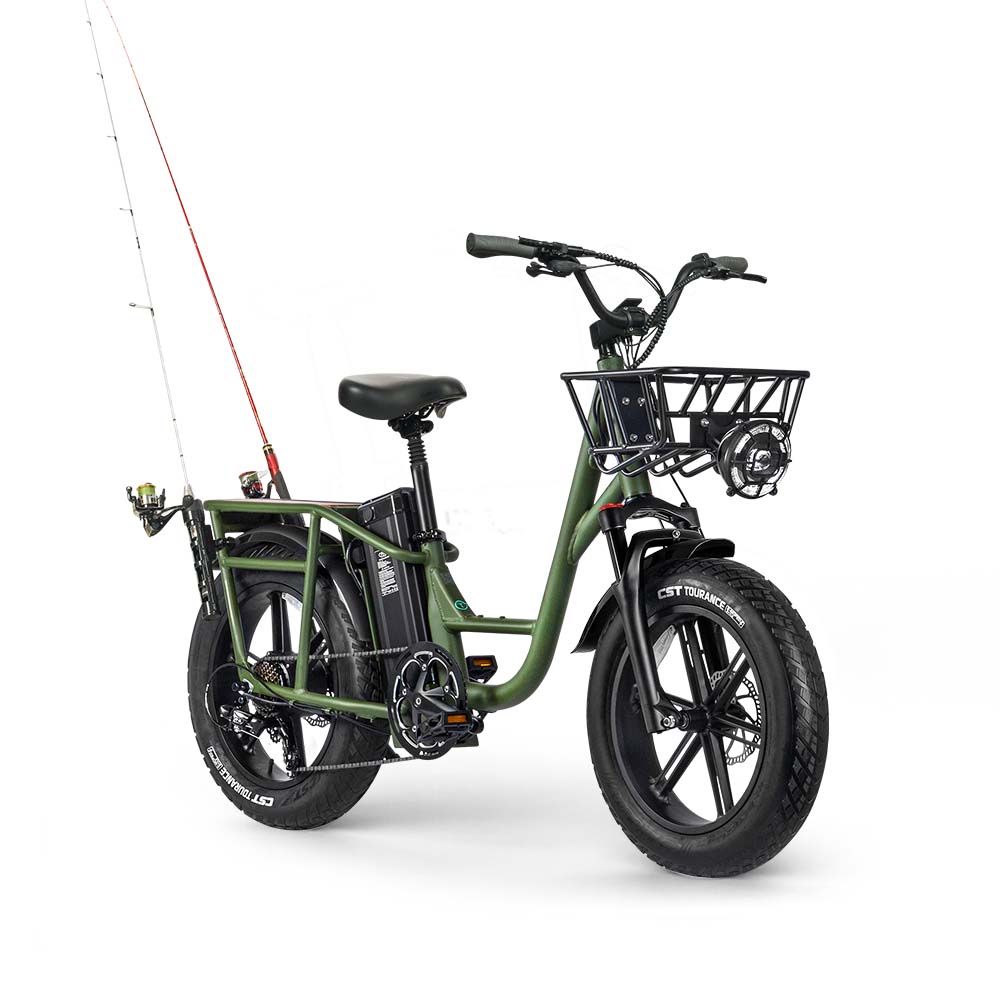 Fiido T1 Pro - Utility Cargo Ebike with Fat Tires