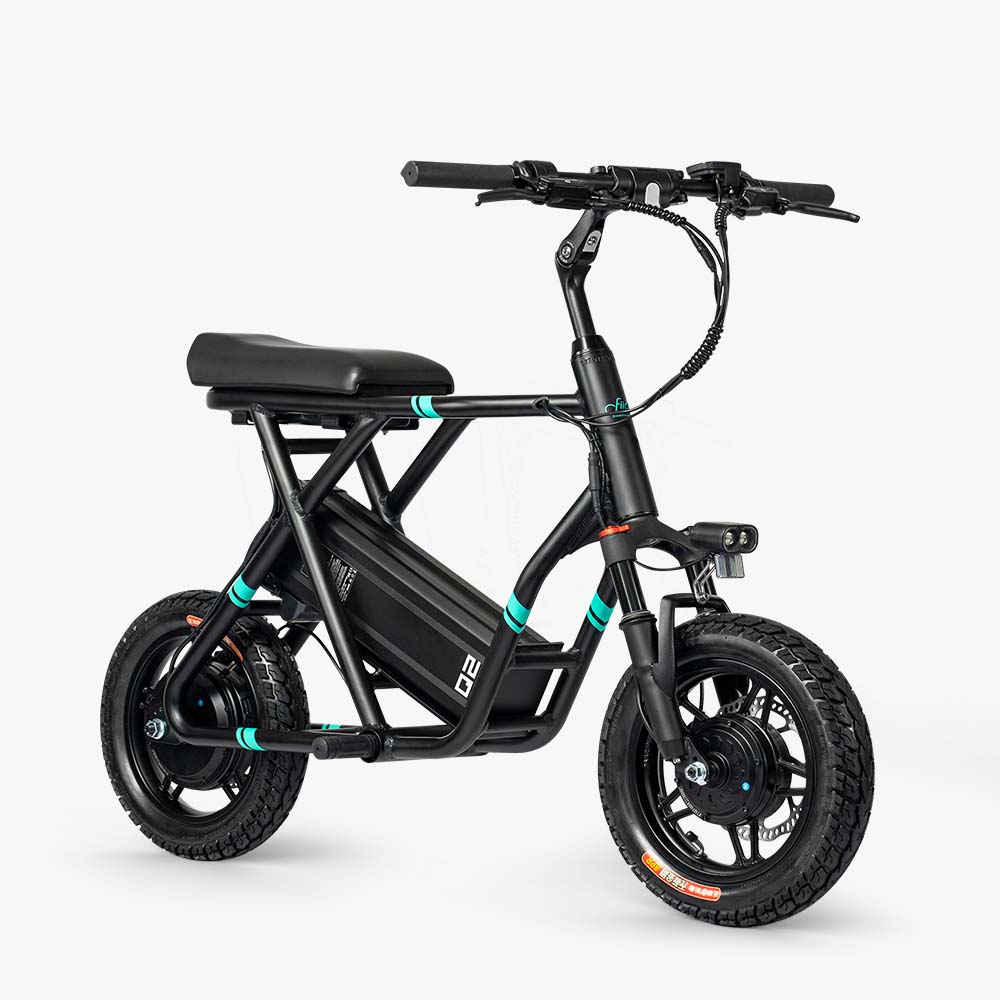 Fiido Q2 - Dual-motor Electric Scooter with Seat
