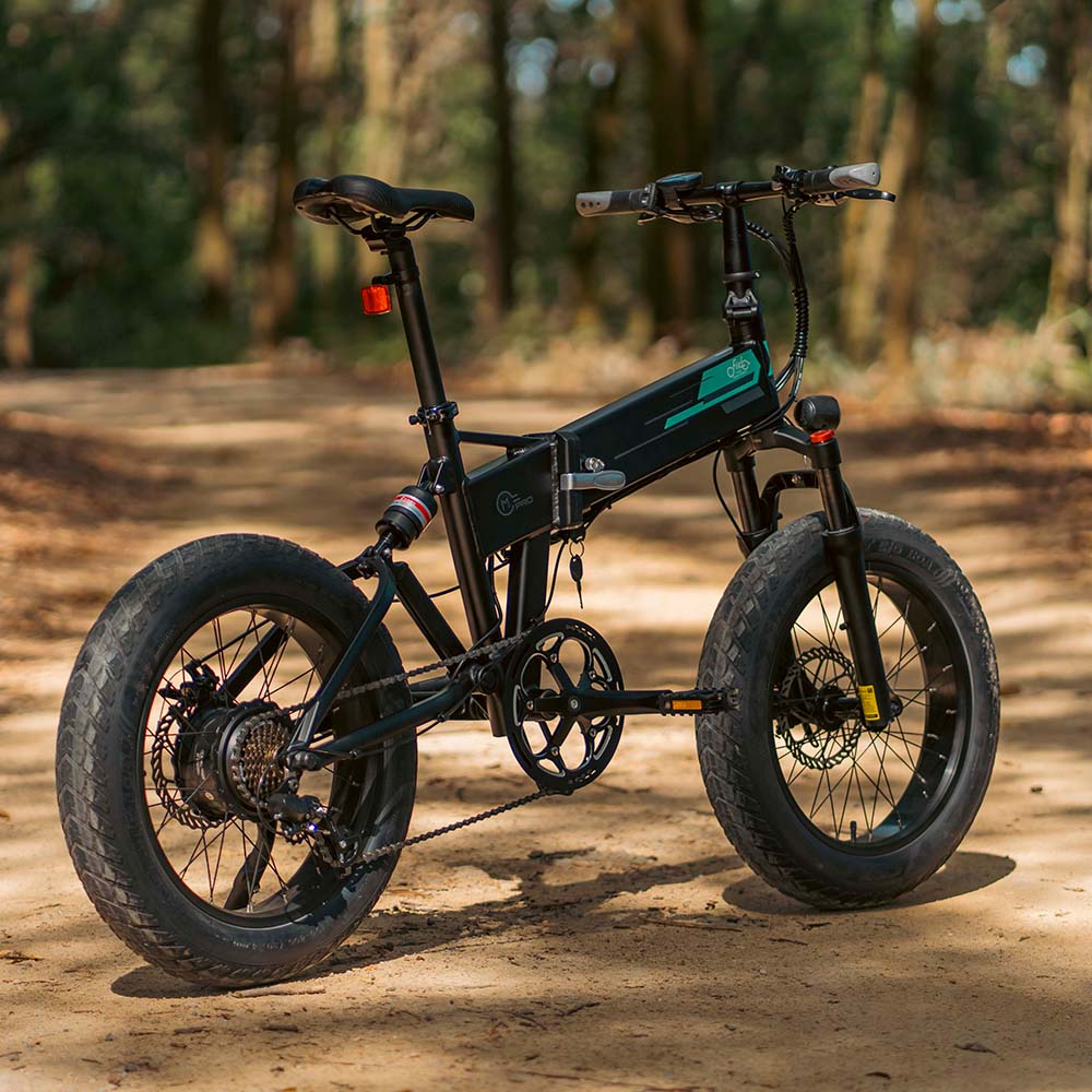 Fiido M1 Pro - Fat Tire Folding Electric Bikes