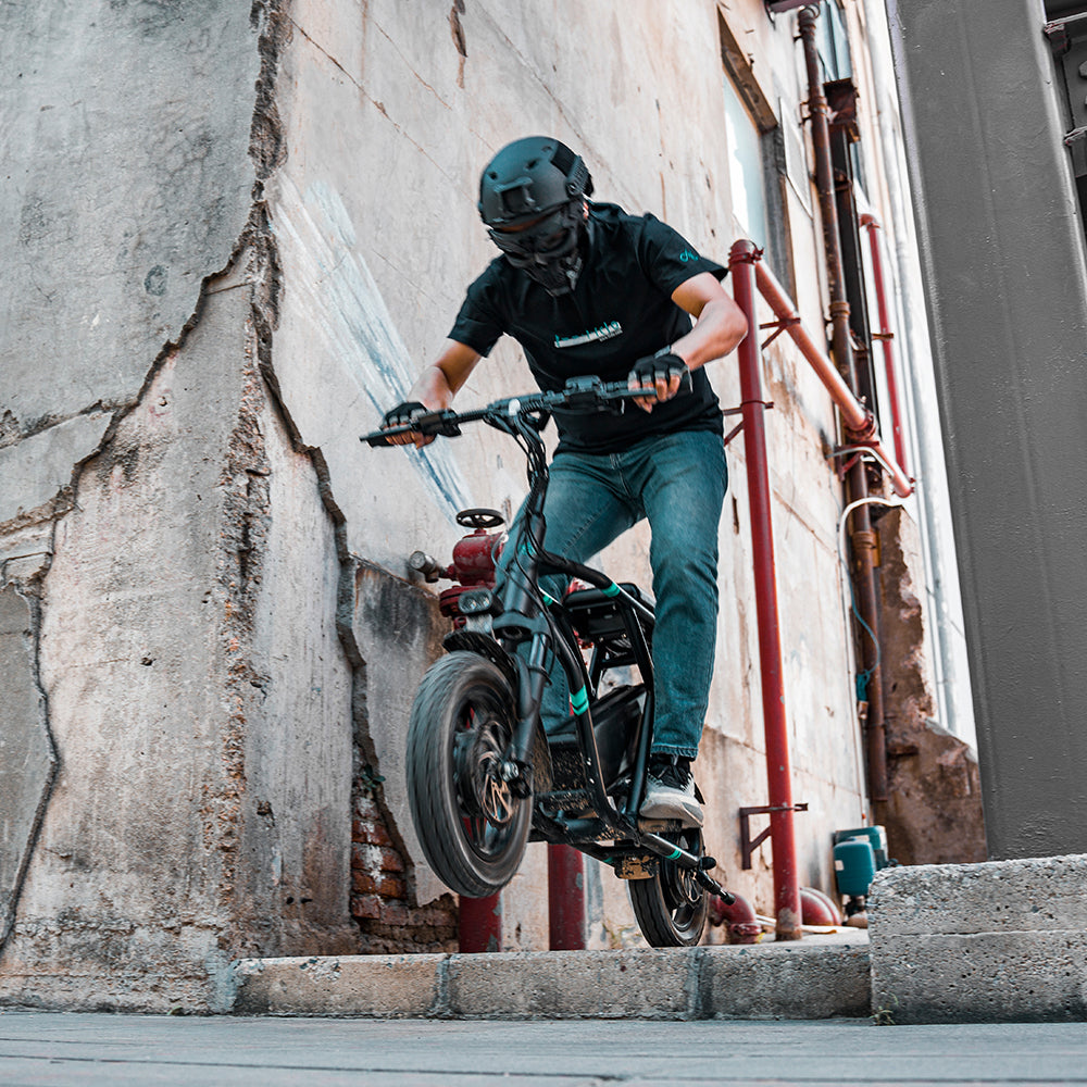 Fiido Q2 - Dual-motor Electric Scooter with Seat