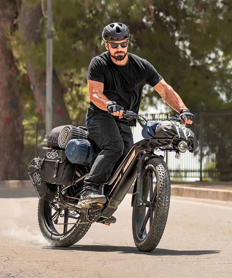 Best Electric Bike Brand Online Shop - Fiido Company Best Electric Bike Brand Online Shop - Fiido Company